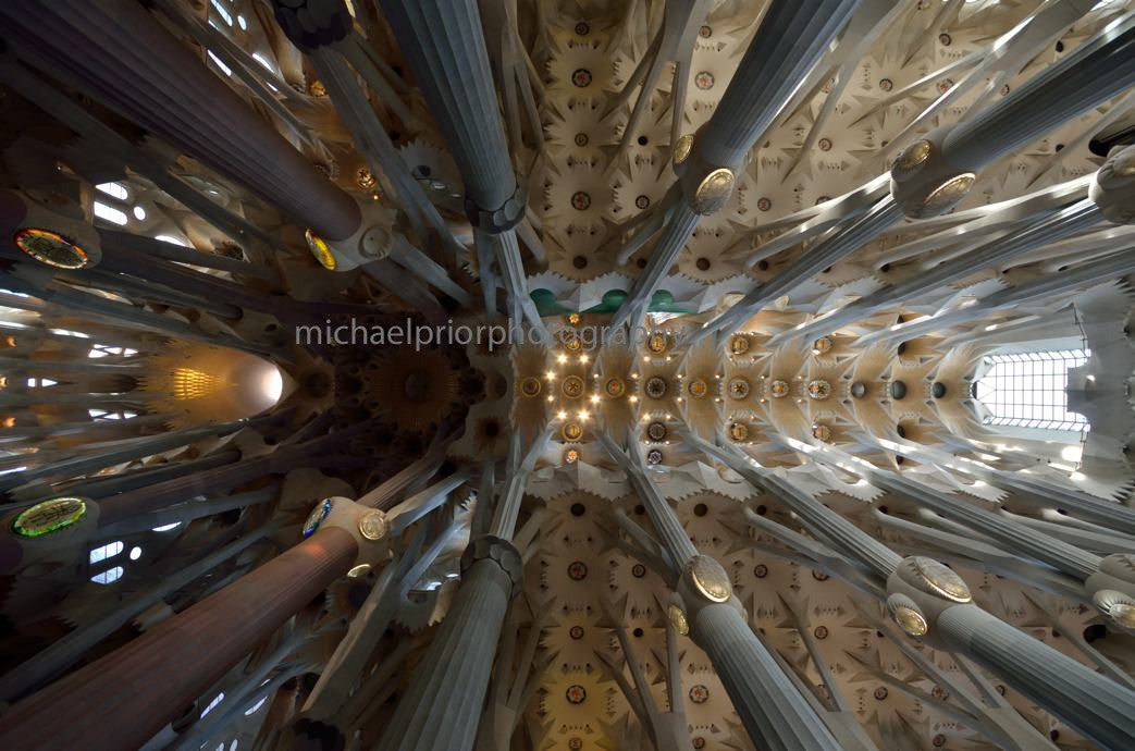 Soaring Pillars - Sagrada Familia | Michael Prior Photography